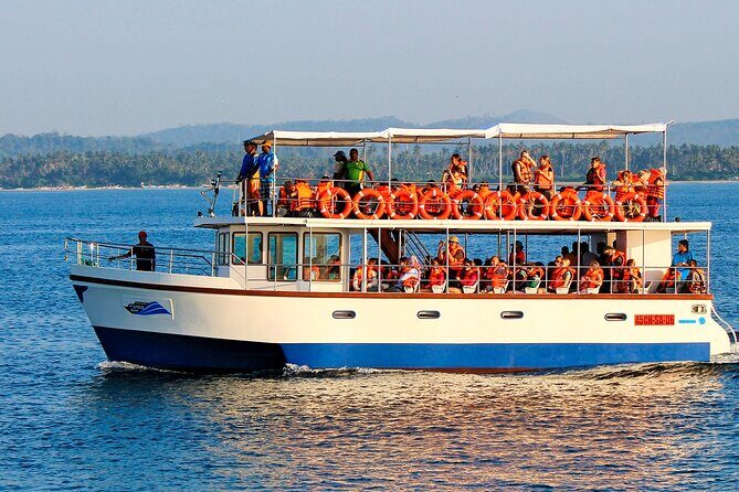 Whale Watching Boat Tour from Galle - The Itinerary in Detail