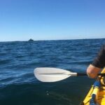 Whale Watching by Sea Kayak in Batemans Bay - Who Will Love This Experience?