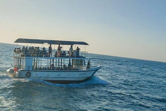 Whale Watching from Kalpitiya on Private Boat - Who Will Love This Tour?