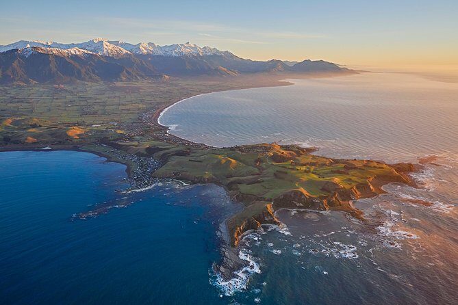 Whale Watching in Kaikoura - Ultimate Experience - Who Will Love This Tour?