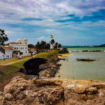 Whale Watching in Sri Lanka  A Majestic Ocean Adventure - An In-Depth Look at the Sri Lanka Whale Watching Tour