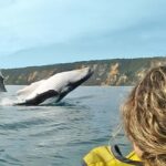 Whale Watching Ocean Kayak & Beach 4X4 Tour Noosa - Pricing and Value