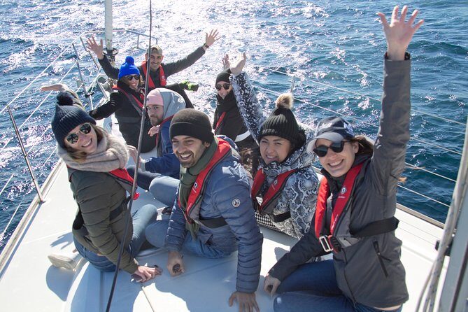 Whale Watching Sailing Experience in Sydney - The Itinerary: What to Expect on Your Day Out