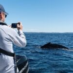 Whales of Sydney Sea Safari - FAQ