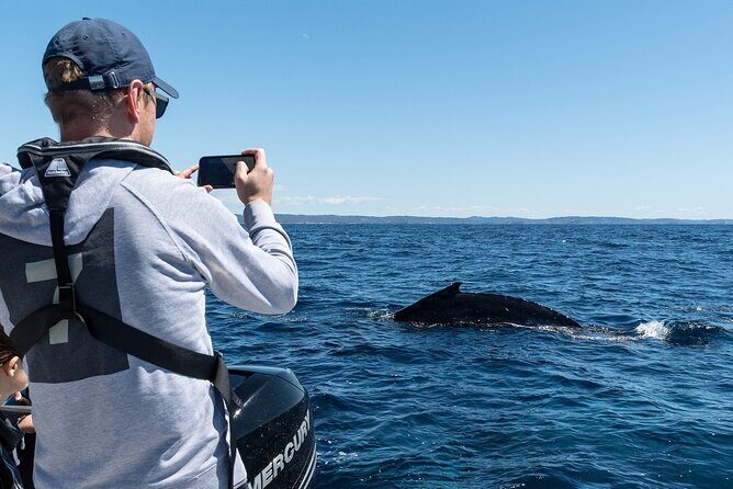 Whales of Sydney Sea Safari - FAQ