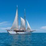 Whale's Tale Day Cruise from Port Denarau - What to Expect from the Itinerary