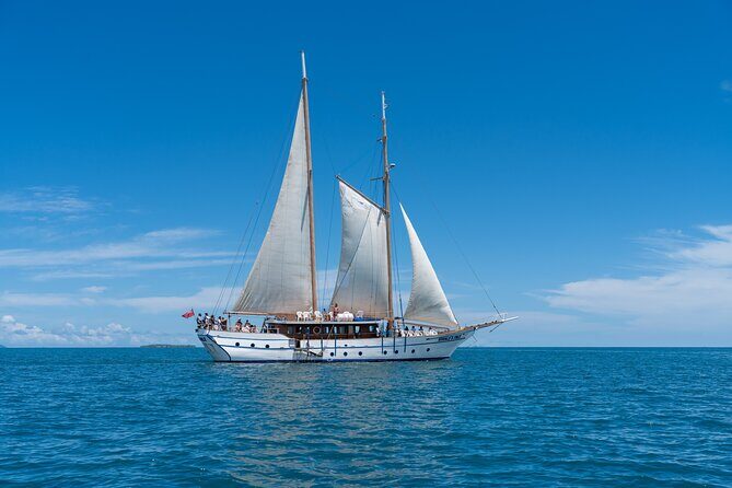 Whale's Tale Day Cruise from Port Denarau - What to Expect from the Itinerary