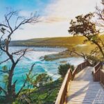 Whales, Wildlife & Beach  Eco Day Trip to Stradbroke - The Value of This Tour