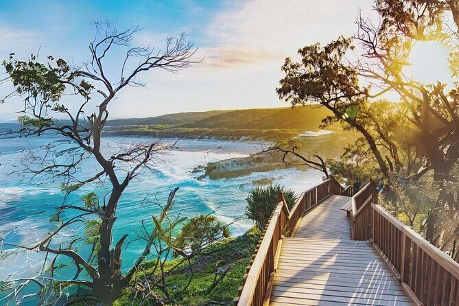 Whales, Wildlife & Beach  Eco Day Trip to Stradbroke - The Value of This Tour