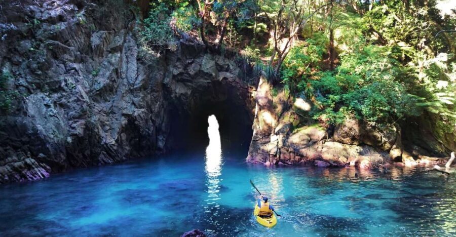 Whangamata: Donut Island Guided Kayaking Experience - Who It’s Best For