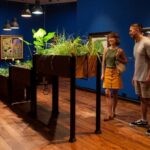 Whangarei: Hundertwasser Art Centre: admission & guided tour - Who Will Love This Tour?