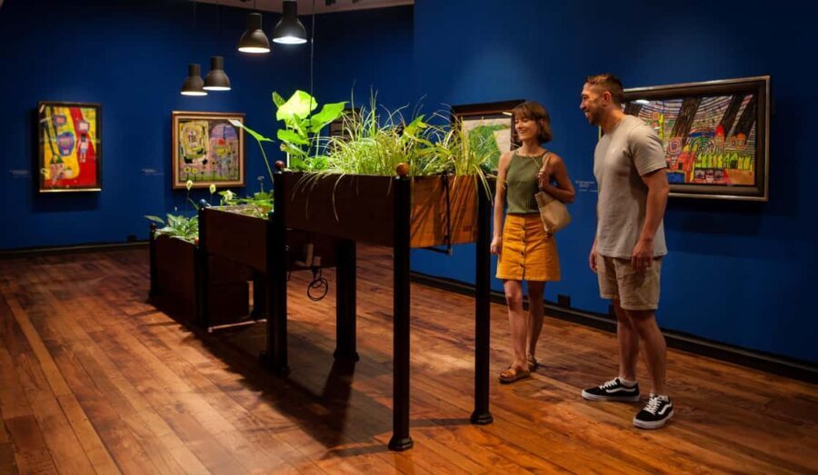 Whangarei: Hundertwasser Art Centre: admission & guided tour - Who Will Love This Tour?