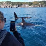 Whitianga: 2-Hour Cathedral Cove and Volcanic Coast Cruise - Wildlife Watching and Marine Wonders