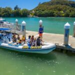 Whitianga: Cathedral Cove Thrilling Boat Tour and Snorkeling - What Makes This Tour Stand Out