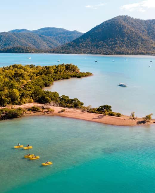 Whitsundays: Water Bike Eco-Tour with Guide - What to Expect: A Detailed Breakdown