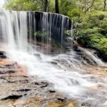 Wild Kangaroos, Blue Mountains and a Cruise - Evaluating the Value
