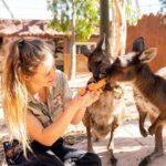 WILD LIFE Sydney Entrance Ticket - The Itinerary: What to Expect