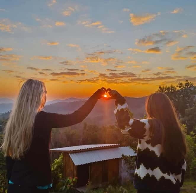 Wild Soul Reconnection: Chiang Mai Jungle Awakening - The Details That Matter