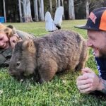 WILD Wombat and Kangaroo Day Tour, All Inclusive - Who Should Consider This Tour?