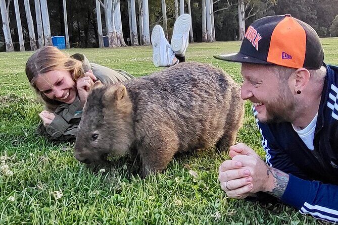 WILD Wombat and Kangaroo Day Tour, All Inclusive - Who Should Consider This Tour?