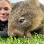 WILD Wombats and Kangaroo Experience, All Inclusive, Sydney - Overview of the Tour