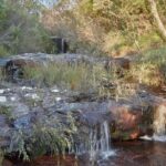 Wilderness kayak adventure with gourmet food - Who Will Love This Tour?