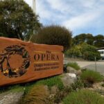 Wildlife and Penguin Tour - The Value of the Tour