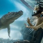 Wildlife Habitat Port Douglas - Who Will Love This Tour?
