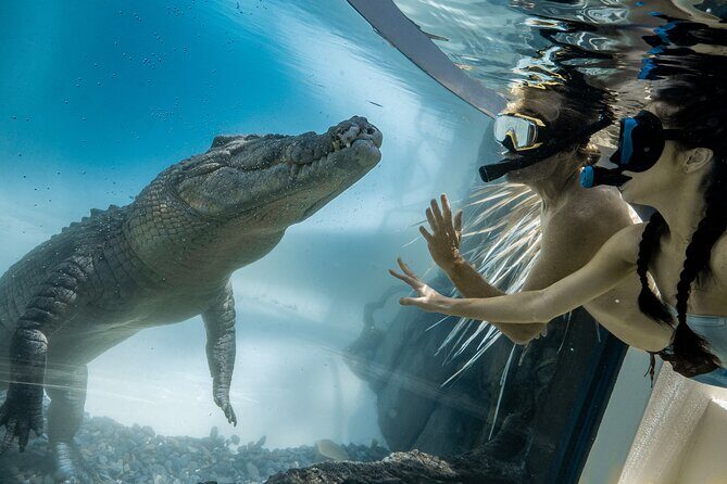 Wildlife Habitat Port Douglas - Who Will Love This Tour?