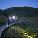 Wildlife Night Spotting at Cradle Mountain - Detailed Breakdown of the Itinerary