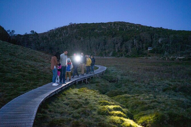 Wildlife Night Spotting at Cradle Mountain - Detailed Breakdown of the Itinerary