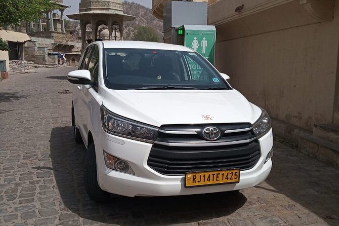 Wildlife SOS Visit with One Way Transfer from Agra to Delhi - The Itinerary in Detail