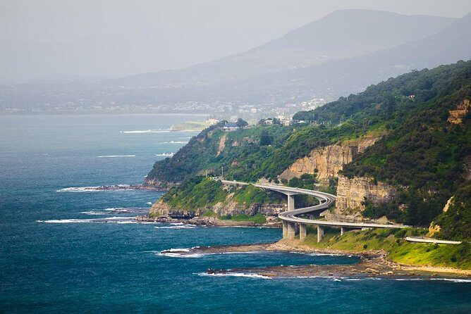 Wildlife, Wine & Waves  Epic South Coast Adventure from Sydney - Value and Practicality