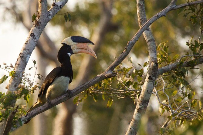 Wilpattu Safari Drive From Trincomalee, Nilaveli & Suburbs - Practical Tips for Booking and Participation
