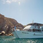 Wilsons Prom Whale Cruise - The Practicalities: What to Know Before Booking
