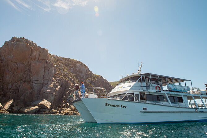 Wilsons Prom Whale Cruise - The Practicalities: What to Know Before Booking