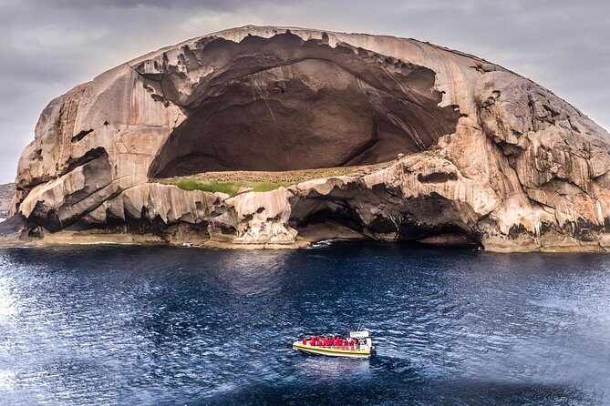 Wilsons Promontory Wilderness Cruise from Tidal River - Who Is This Tour Best For?