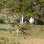 Wilsons Promontory Wilderness Day Tour - Relaxing and Refreshing