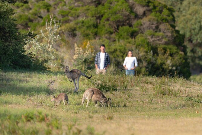 Wilsons Promontory Wilderness Day Tour - Relaxing and Refreshing