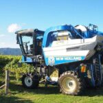 Wine and Gourmet Picnic Experience of Marlborough - What Makes This Tour Stand Out?