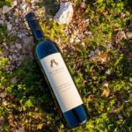 Wine Tasting Activity at Rymill Coonawarra - The Authenticity and Authentic Experience