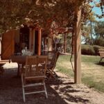 Wine Tasting and Lunch Private Tour in McLaren Vale - Who Will Love This Tour?