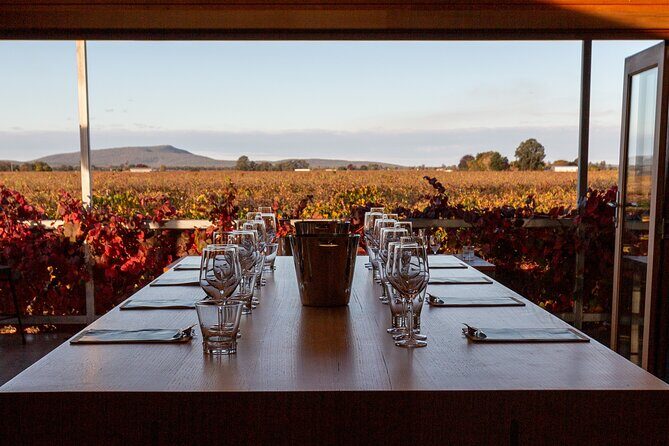 Wine Tasting Experience - Who Will Appreciate Yarran Wines?
