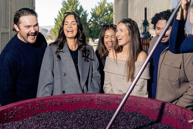 Wine Tour From Canberra to Murrumbateman - Hop on Hop Off - What to Expect at Each Winery