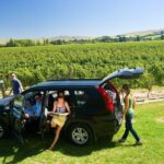 Wine trail and Christchurch City - Luxury, Small Group Tour - Discovering Christchurch’s Resilience and Charm