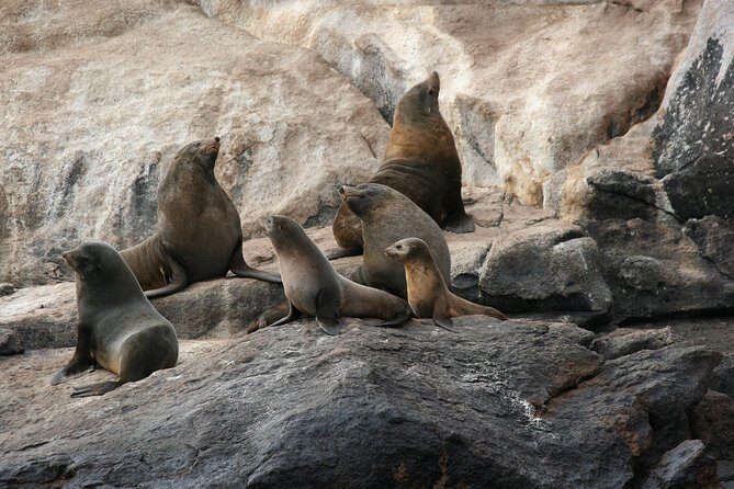 Wineglass Bay Cruise from Coles Bay - FAQs