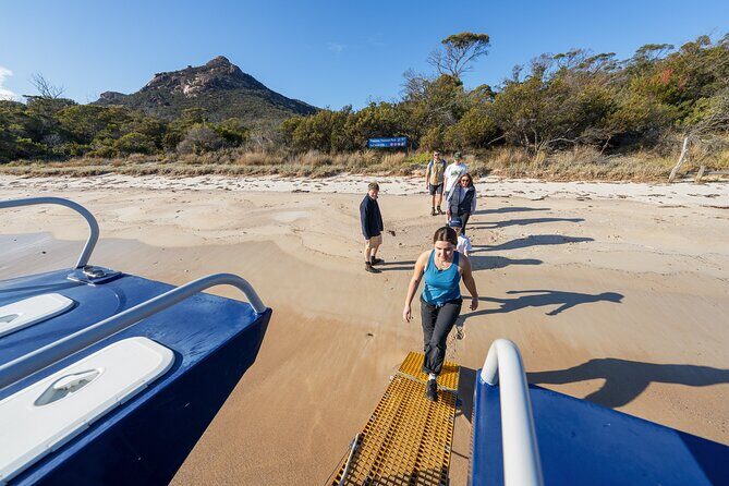 Wineglass Bay Shared Cruise and Walking Tour - What Travelers Are Saying: Authentic Perspectives