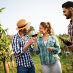 Wines and Views Private Wine Tour of Otago from Queenstown - Who Should Consider This Tour?