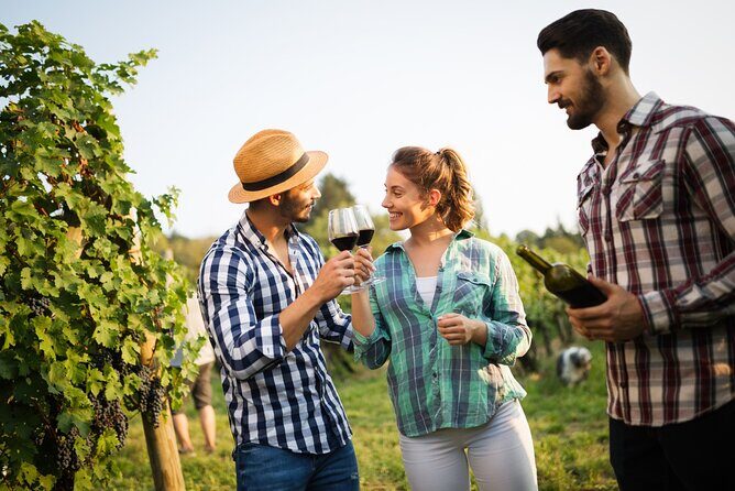 Wines and Views Private Wine Tour of Otago from Queenstown - Who Should Consider This Tour?