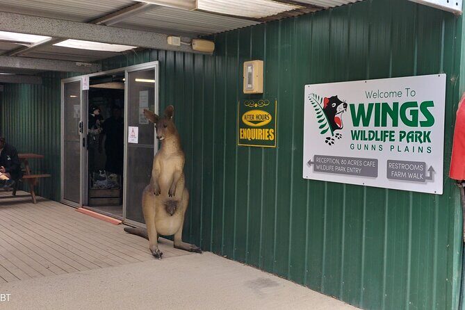 Wings Wildlife Park and Scenic Tour - The Itinerary in Detail